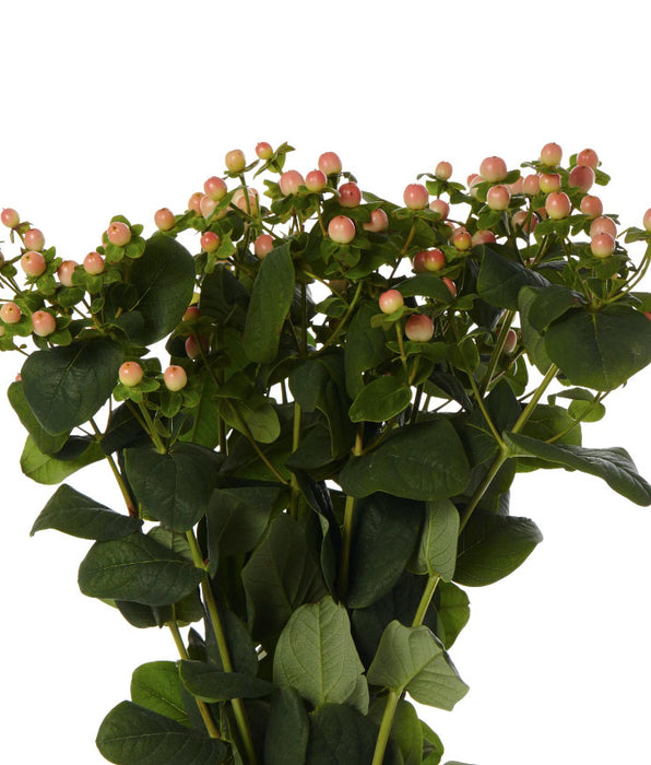 Flowers – Page – Lovingly Charlotte Flower Market